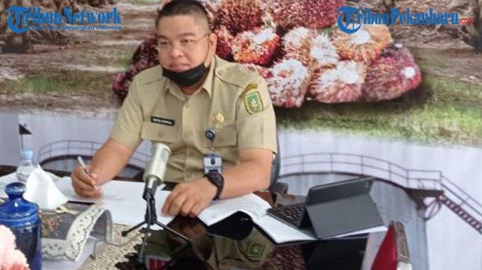 Daftar Harga TBS Kelapa Sawit di Riau dan Daftar Harga CPO di Riau, Ada ...