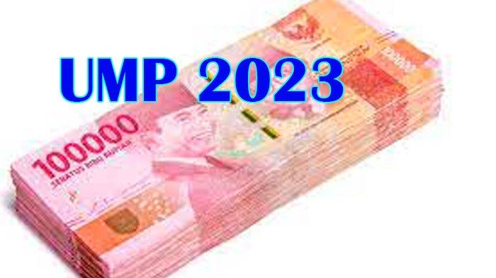 Daftar UMP 2023 38 Provinsi di Indonesia, Dari Aceh Sampai Papua Pegunungan - Tribunpekanbaru.com