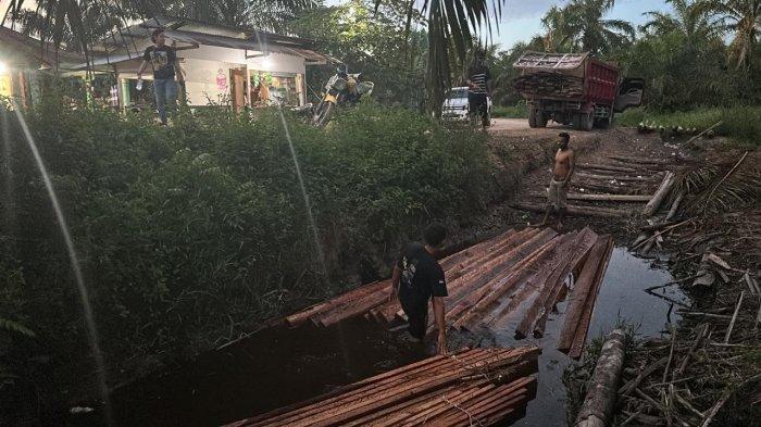 Polda Riau dan Jajaran Tangani 10 Kasus Illegal Logging Dengan 16 Tersangka Sejak Awal Tahun ...