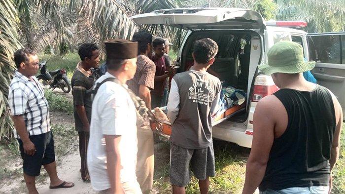 Diduga Tersengat Listrik, Warga Pelalawan Ditemukan Tewas di Parit ...