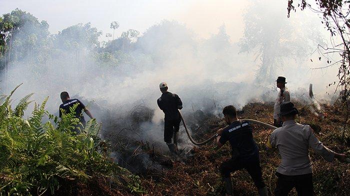 Waspadai Ancaman Karhutla di Riau, Daerah Ini Sudah Terkena - Tribunpekanbaru.com