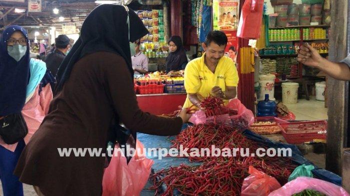FOTO: Harga Cabai Merah di Pekanbaru Capai Rp 120 Ribu Per Kg - Tribunpekanbaru.com