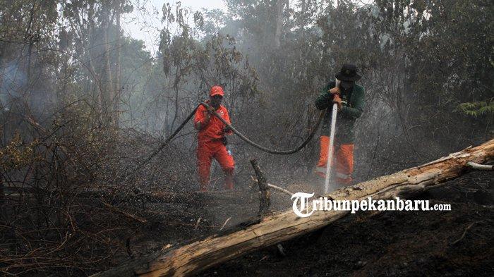 Sudah 9.713 Hektare Lahan di Riau Terbakar, Status Siaga Bencana Karhutla Riau Berakhir Hari Ini ...