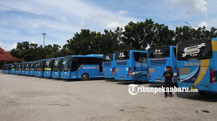 Bus Trans Metro Pekanbaru Sudah Beroperasi, Manajemen Pengelola Bakal ...