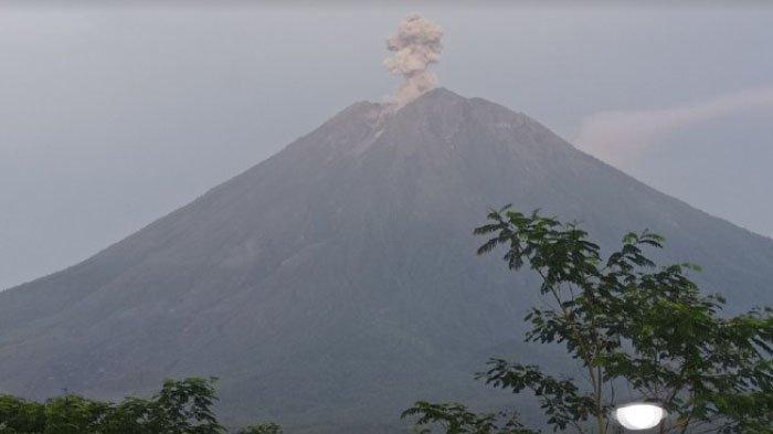 Tidak Hanya Gunung Anak Krakatau, Gunung Semeru Juga Erupsi Pagi Ini, Letusan Capai 600 Meter ...