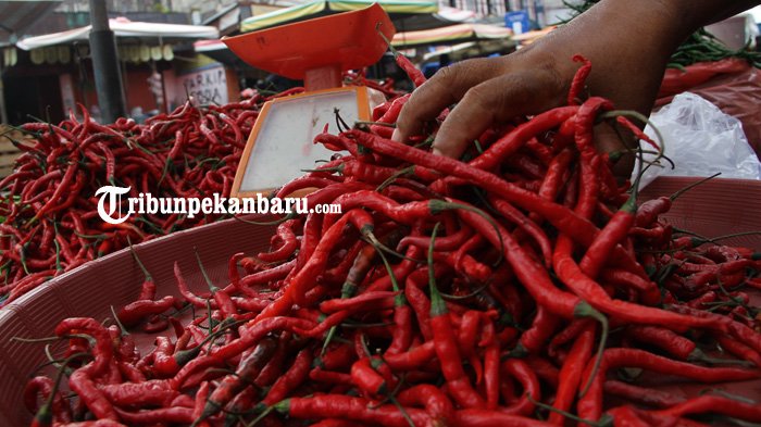 Emak-emak Mengeluh Harga Cabai Merah di Pekanbaru Sampai Rp 100 Ribu Per Kilogram ...