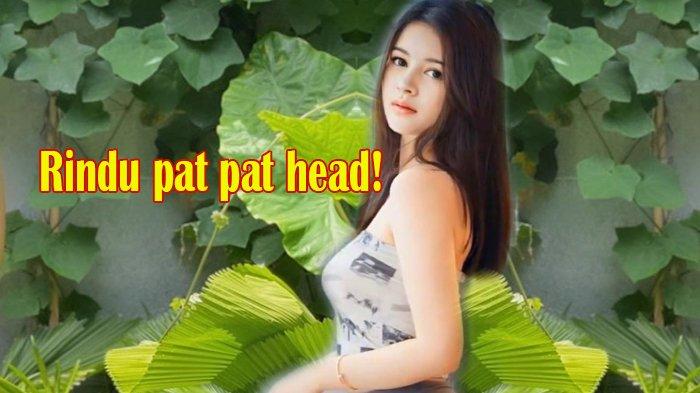 Harimau Suka! Pat Pat Head Meaning? Pat Pat Kepala Artinya Bahasa Gaul Apa? - Tribunpekanbaru.com