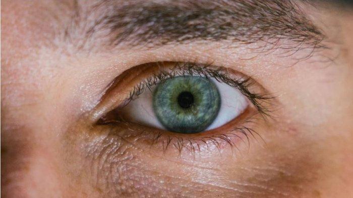 Bombastic Side Eye Artinya Dalam Bahasa Gaul Apa? Cek Disini ...