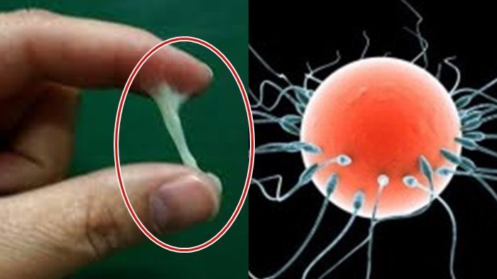 Ritual Aneh Oknum Guru Telan Sperma Murid, Berikut Fakta Tentang Cairan ...