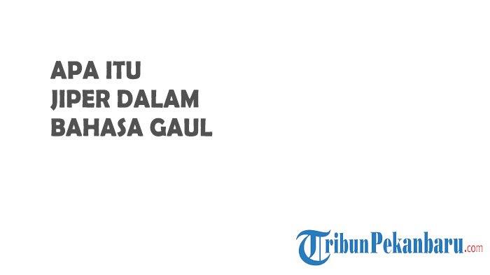 Pahami Arti Kata Jiper Disini Jika Belum Tau, Bahasa Gaul yang Cukup ...