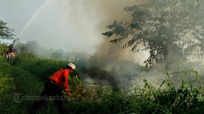 Riau Mulai Memasuki Musim Kemarau, Antisipasi Kebakaran Lahan dan Hutan - Tribunpekanbaru.com