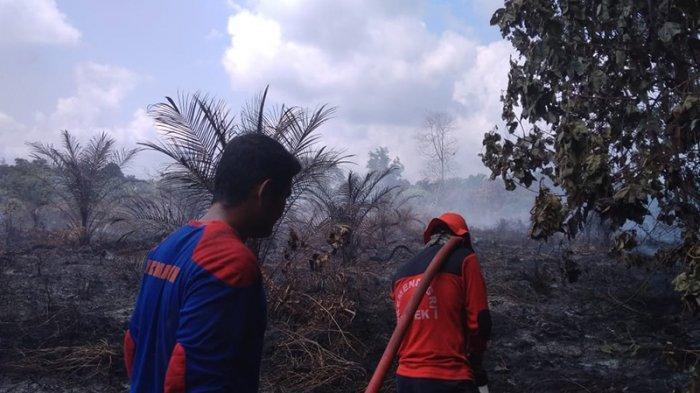 KISAH Pemadam Kebakaran Hutan & Lahan di Riau: Terperosok hingga Terbenam Setengah Badan ...