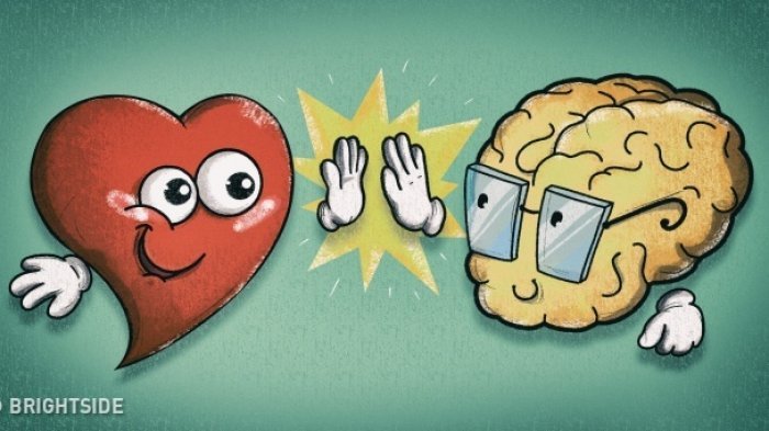 Apa Itu Persetan Logika? Simak Disini Arti Kata Persetan Logika dalam ...