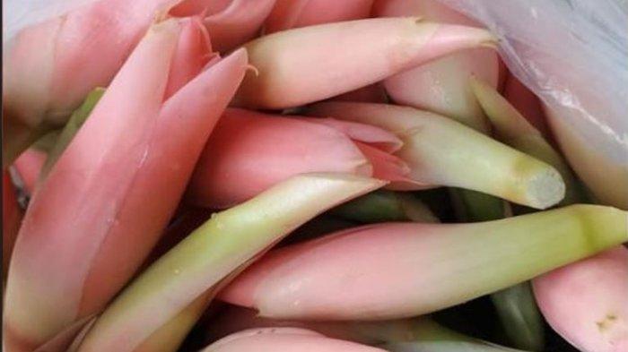 Pelancar ASI Hingga Pembersih Darah, ini Manfaat Lain Dari Kecombrang ...