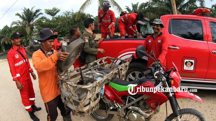 Kisah Sedih Sipongi, Orangutan yang Jadi Sumber Semangat Brigade ...