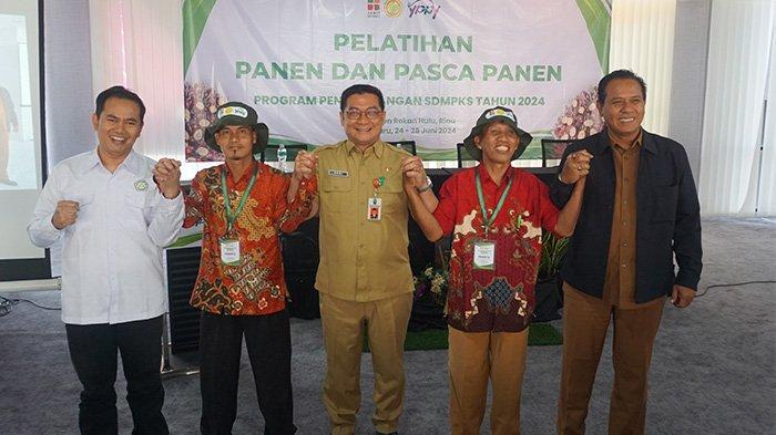 BPDPKS dan Ditjenbun melalui YPPY Latih Panen - Pasca Panen bagi Pekebun Sawit Rokan Hulu ...