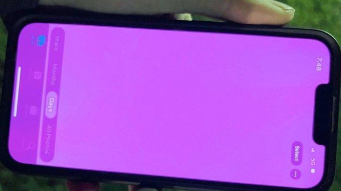 TRENDING TWITTER Laya HP Jadi Ungu, Kenapa Layar Smartphone bisa jadi ...