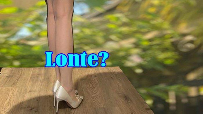 Lonte Viral di TikTok, Apa Arti Lonte dalam Bahasa Gaul dan Lonte ...