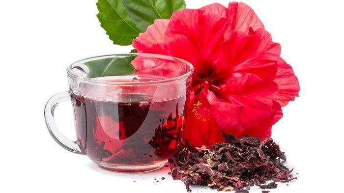 Manfaat Bunga Raya Atau Kembang Sepatu Bagi Kesehatan, Tak Hanya ...