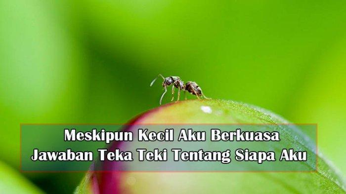Meskipun Kecil Aku Berkuasa , Jawaban Teka teki tentang Siapa Aku ...