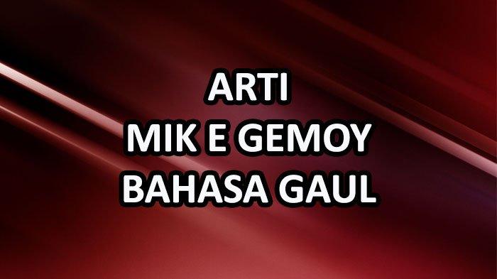 Mik E Gemoy Artinya Dalam Bahasa Gaul Viral Tiktok, Semangat Pubernya Dek - Tribunpekanbaru.com