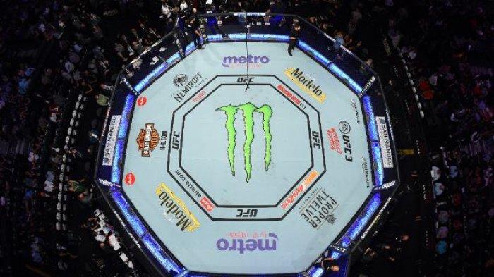 Elon Musk Vs Zuckerberg, Pemilik Twitter Itu Jadikan Bintang UFC Untuk ...