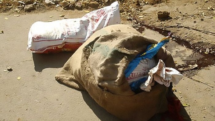 Sadis, Bunuh Putranya Secara Keji, Mutilasi Jadi 70 Bagian, Nenek Ini ...