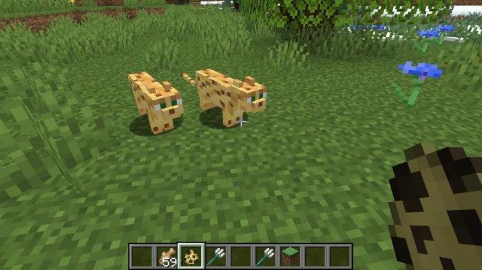 Cara Menjinakkan Ocelot dalam Game Minecraft, Ternyata Sangat Mudah ...