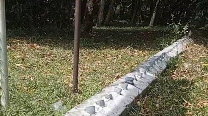 Viral Pencurian Pagar Besi di Pekanbaru, Kantor LAM Riau pun Tak Luput ...