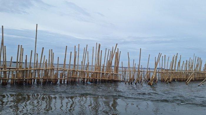 GEGER, Pagar Laut di Tangerang Masih Misterius, Kini Muncul HGB Pagar Laut di Sidoarjo, Punya ...