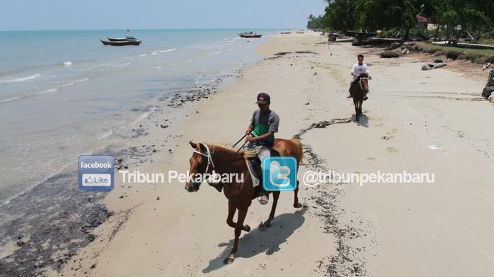 4 Pilihan Wisata Pantai Populer di Kabupaten Bengkalis Riau ...