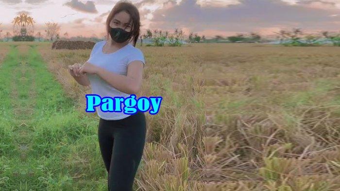 Pargoy Viral di TikTok, Apa Arti Pargoy dalam Bahasa Gaul & Pargoy ...