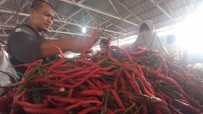 FOTO : Harga Cabai Turun di Pekanbaru, Jelang Lebaran Kemungkinan Naik Lagi - Tribunpekanbaru.com