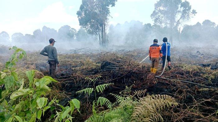 Karhutla Landa Tujuh Daerah di Riau, 44 Hektare Lahan Terbakar, Tempat Ini Paling Parah ...