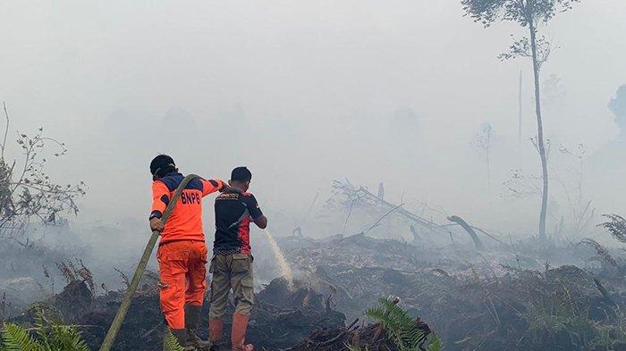 Hujan Lebat Guyur Lokasi Karhutla di Pangkalan Gondai Langgam, BPBD ...