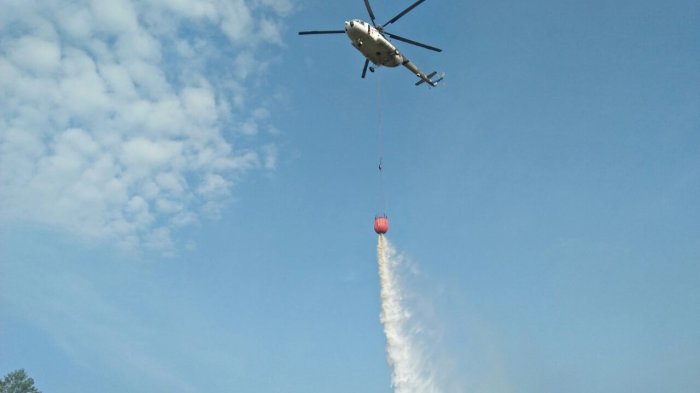 Titik Api Baru Muncul di Sungai Raya Inhu, 2 Helikopter Water Bombing Dikerahkan ke Lokasi ...