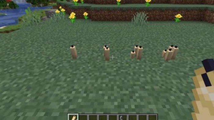 5 MOB dalam Game Minecraft yang bisa Dimanfaatkan bagi Pemula, Solusi ...