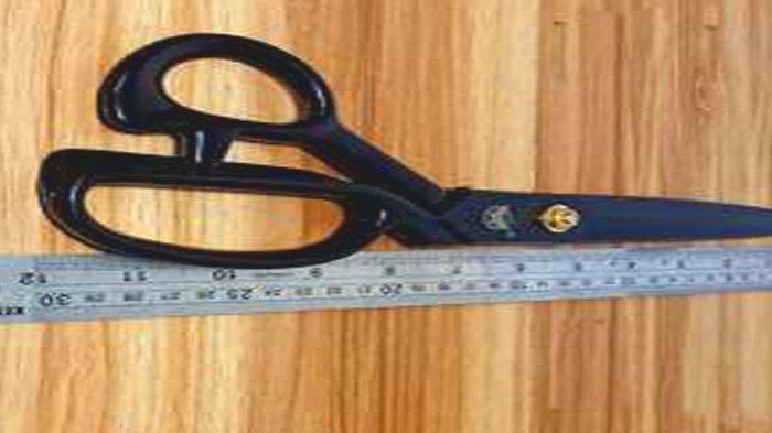 Penemu Gunting Adalah Siapa? Benarkah Orang Timur Tengah atau Inggris ...