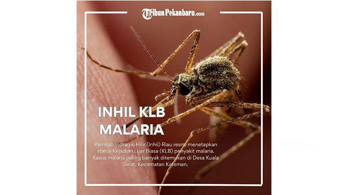 Warga Desa Kuala Selat Inhil Banyak Terjangkit Malaria, Diskes Riau ... Warga Desa Kuala Selat Inhil Banyak Terjangkit Malaria, Diskes Riau ...