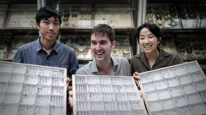 Inilah Peta Semut Pertama di Dunia - Tribunpekanbaru.com