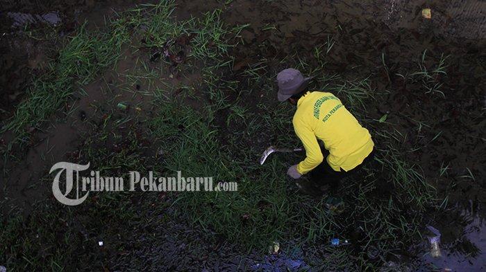 Cerita Rakyat Sumbar : Si Tukang Rumput Terancam Dipancung Raja karena ...