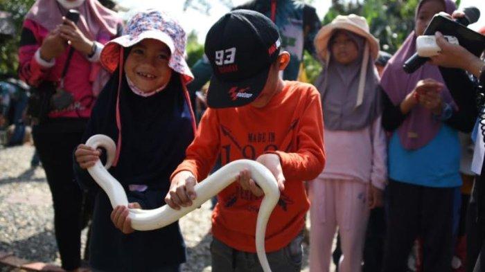 PT KPI RU Dumai Gelar Wild Animal Exhibition dan Rally Photo Patra ...