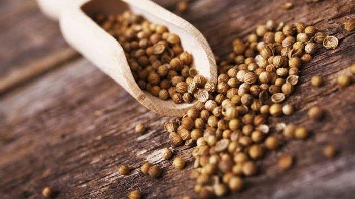 Manfaat Minum Air Rendaman Ketumbar Bagi Secara Rutin Bagi Tubuh ... Manfaat Minum Air Rendaman Ketumbar Bagi Secara Rutin Bagi Tubuh ...