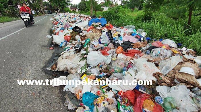 Tumpukan Sampah di TPS Jalan Singgalang, DLHK Pekanbaru Sebut Akibat Keterlambatan Pengangkutan ...