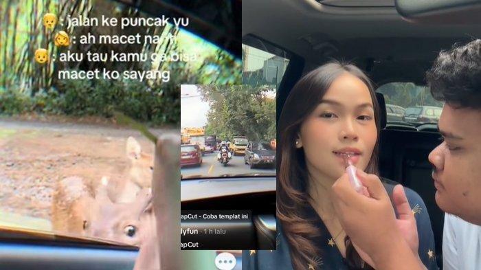 VIRAL Pasangan Kekasih Dikawal Polisi saat Kemacetan di Puncak Bogor: Sang Wanita Sibuk ...