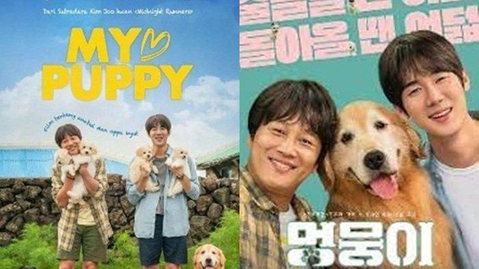 Nonton Film Korea My Puppy Dibintangi Yoo Yeon Seok dan Cha Tae Hyun, Sinopsis dan Jadwal Tayang ...