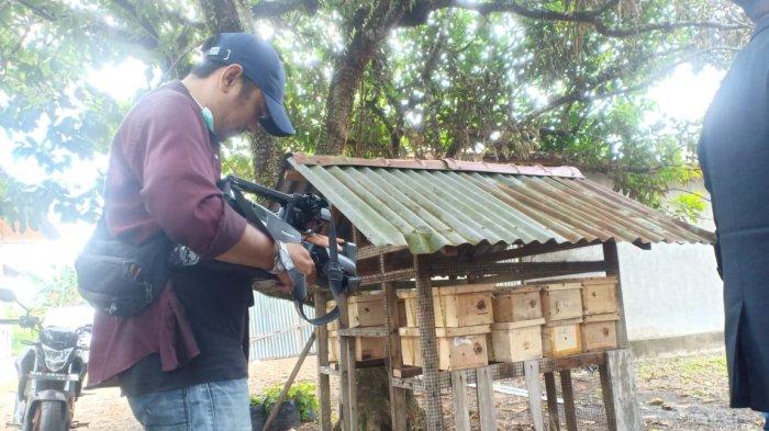 Tertarik Coba Budidaya Lebah Klanceng di Pekanbaru? MBM Jalin Pola ...