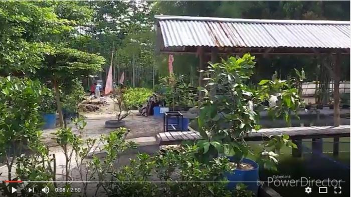 NEWSVIDEO: Wisata Sambil Belajar Bercocok Tanam di Taman Agrowisata Pekanbaru - Tribunpekanbaru.com