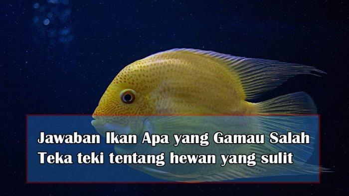 Jawaban Ikan Apa yang Gamau Salah , Teka teki tentang Hewan, Tebak ...