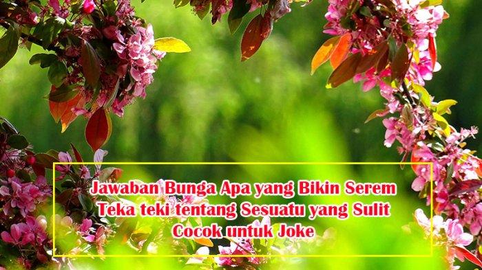 Jawaban Bunga Apa yang bikin Serem, Teka teki tentang Sesuatu yang ...